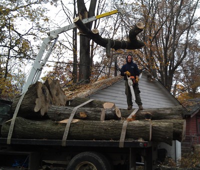TreeRemoval - Maplewood Tree Experts